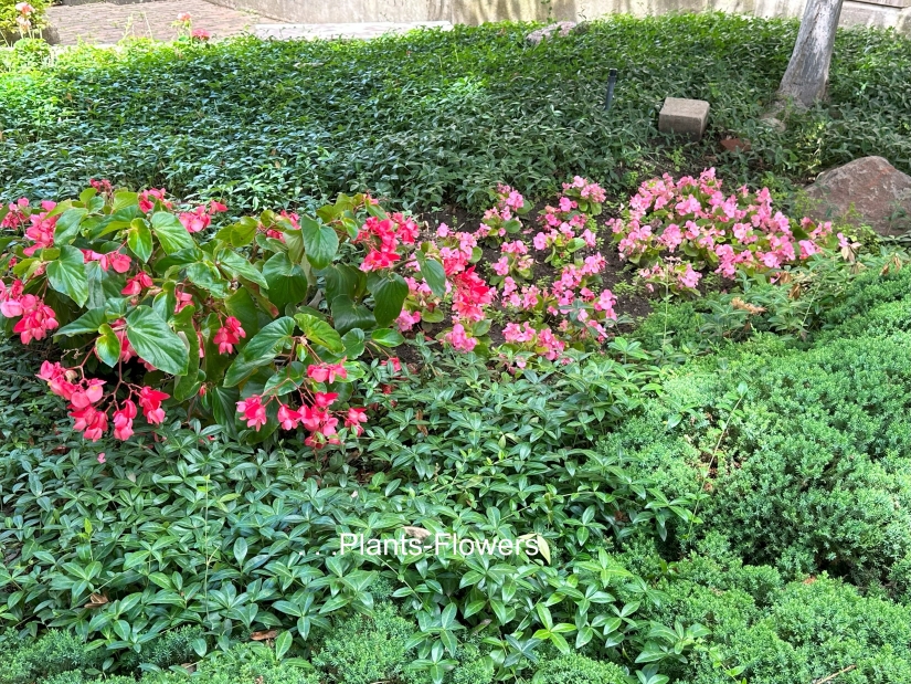 Memorial Garden | First United Methodist Church